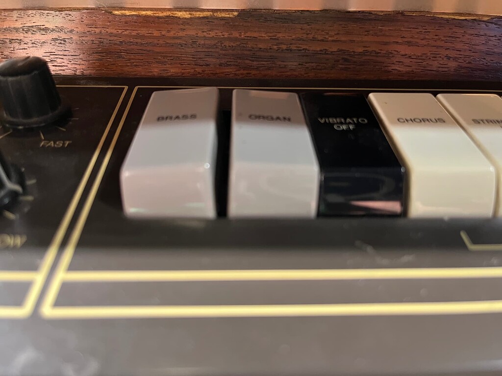 Wonky Rocker Switch on Korg Lambda - Synth Repair - Syntaur Forums